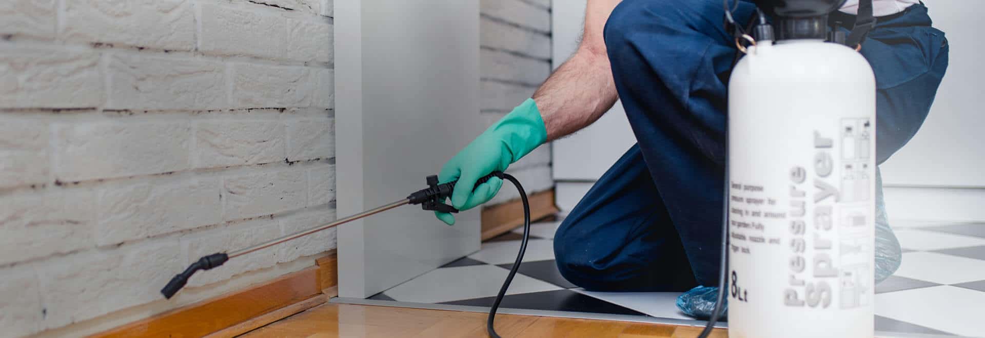 Monitoraggio, Prevenzione e Disinfestazione Insetti